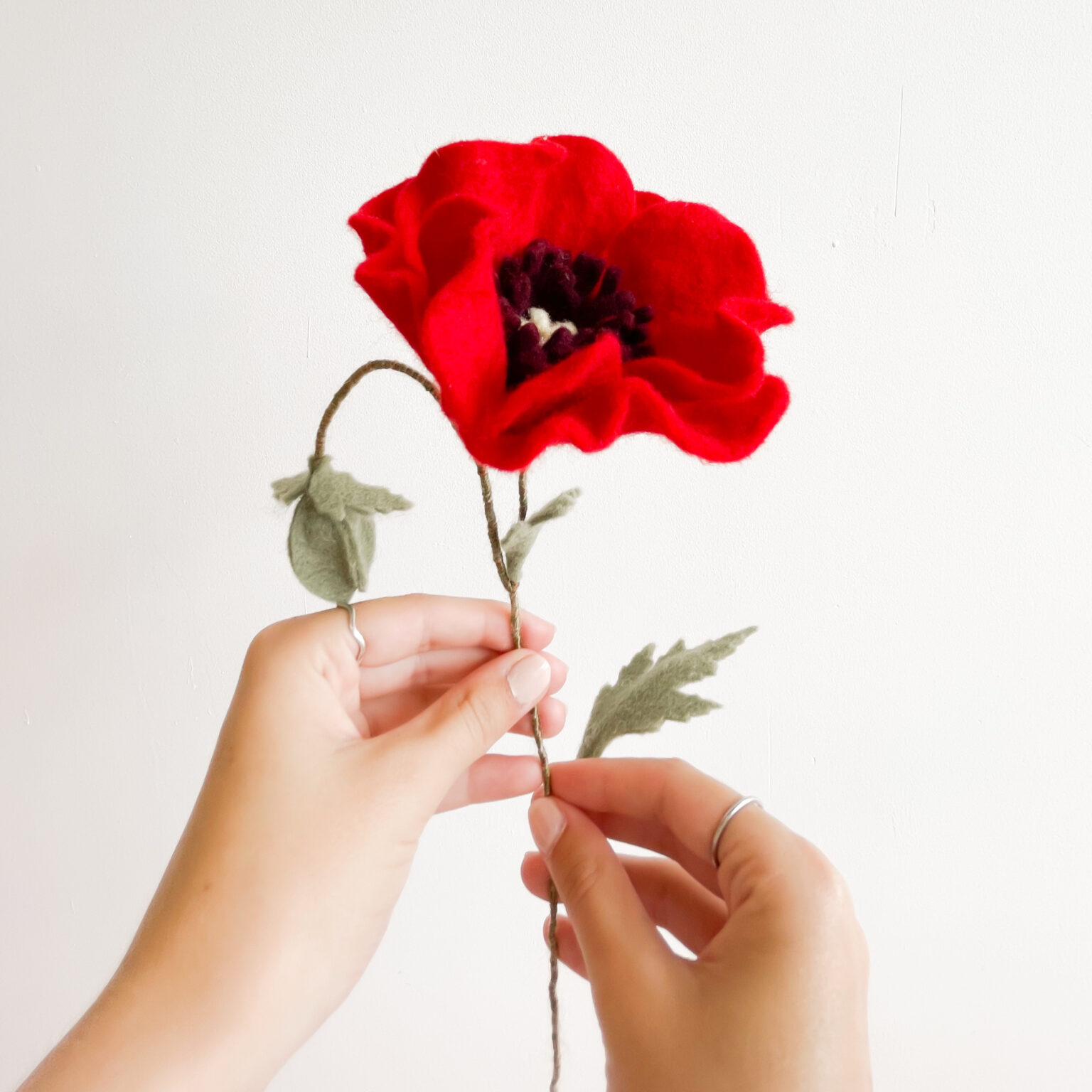 Bougainvillea, symbool voor bescherming