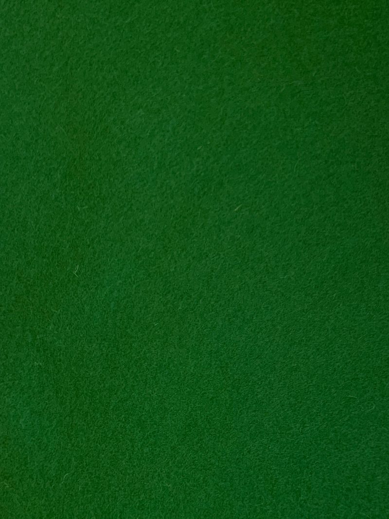 Wilgentak, bladgroen voor in jouw boeket